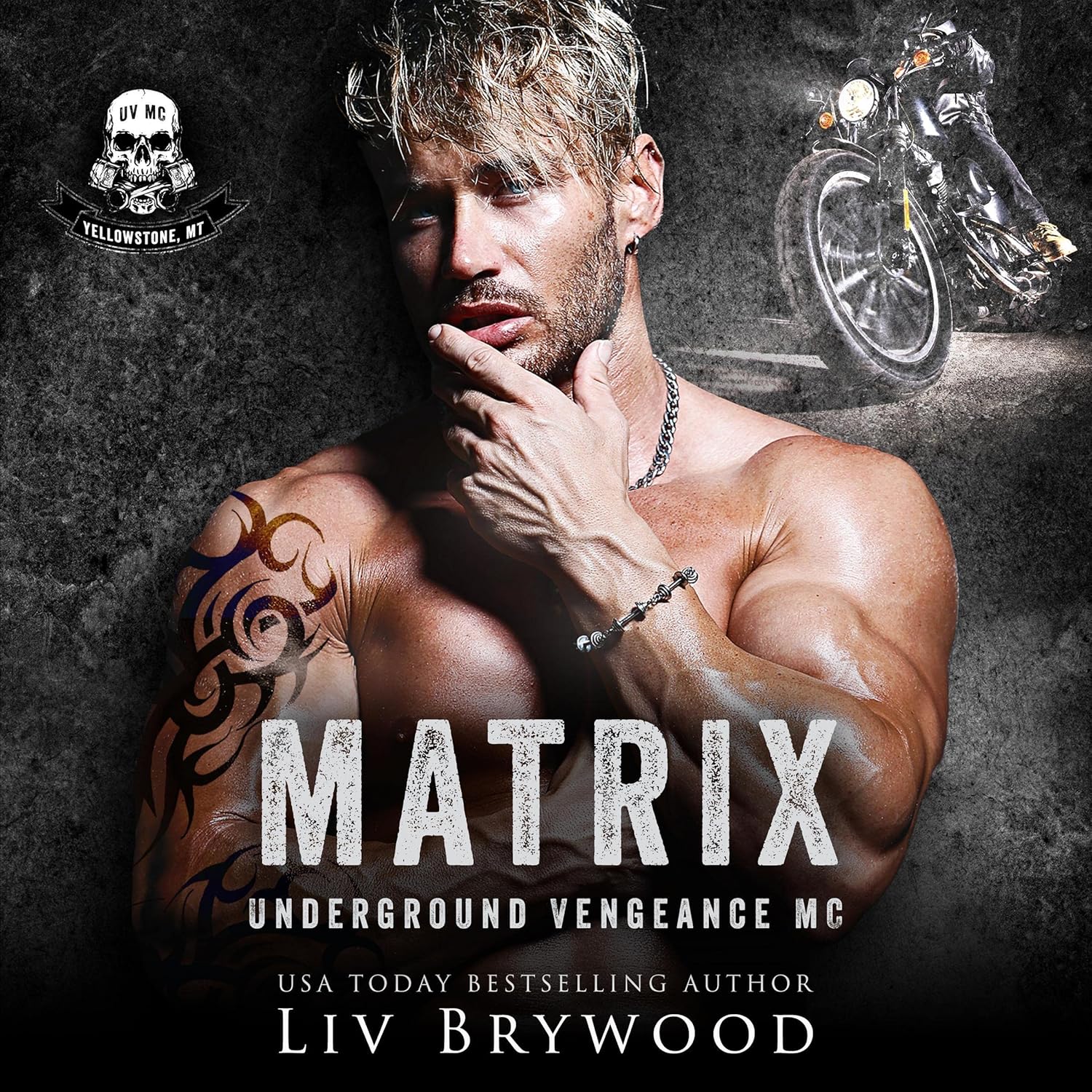 Amazon.com: Matrix: Underground Vengeance MC Romance, Montana Chapter ...