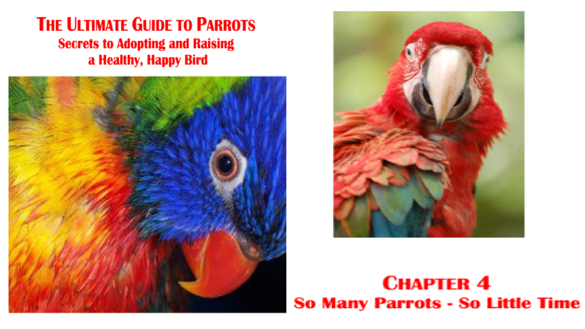 Parrot Talking - App on Amazon Appstore