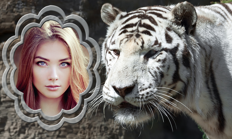 Tiger Photo Frames - App on Amazon Appstore