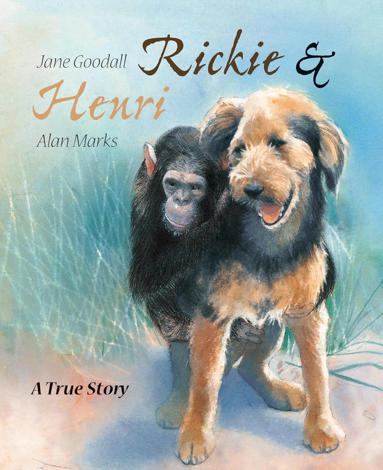 Rickie & Henri: A True Story (minedition Classic): Goodall, Jane, Marks ...