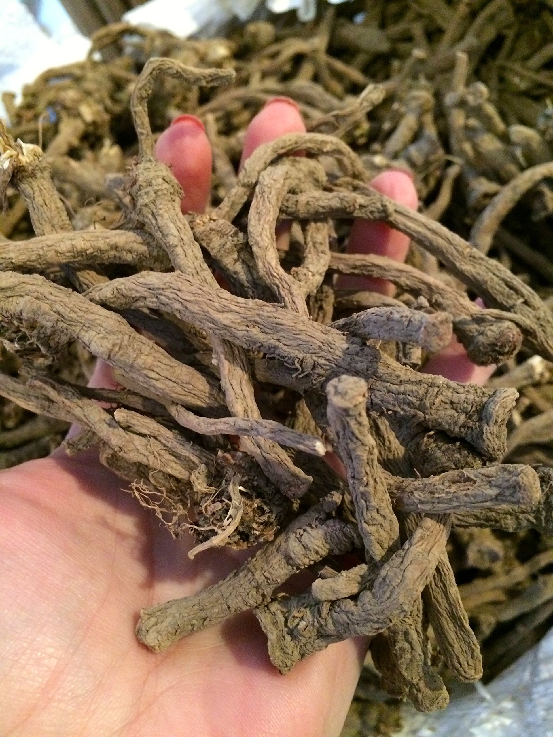 Taraxacum Officinale Root