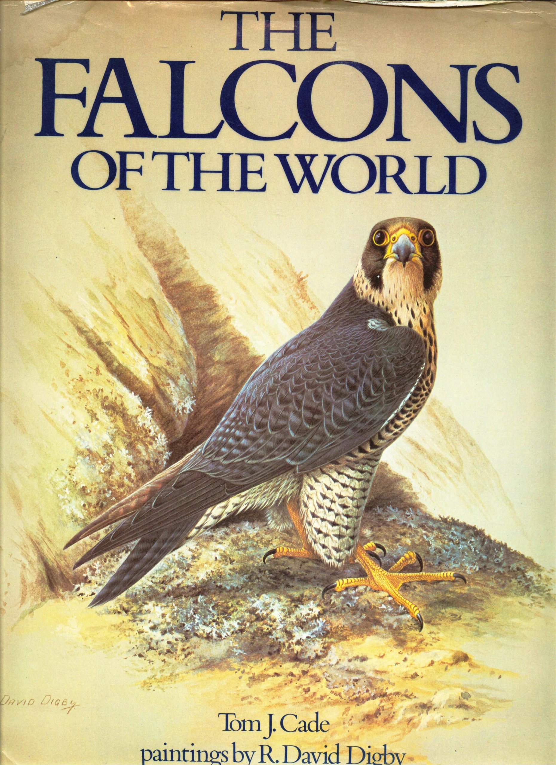 The Falcons of the World: Cade, Thomas, Digby, R. David: 9780801414541 ...