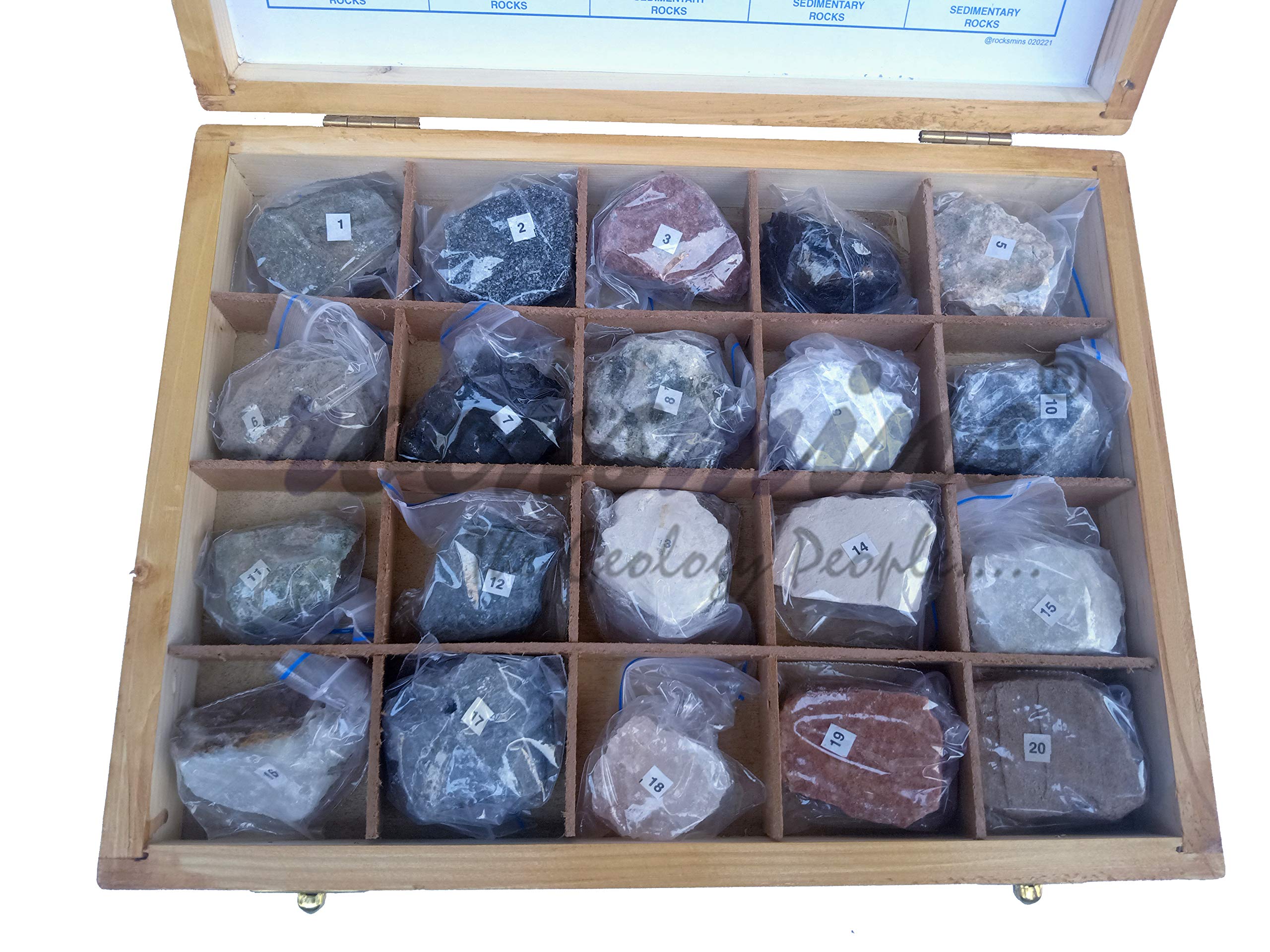 Rocksmins Kid Collection Of 20 Rocks In Wooden Box Ro20wb | Desertcart INDIA