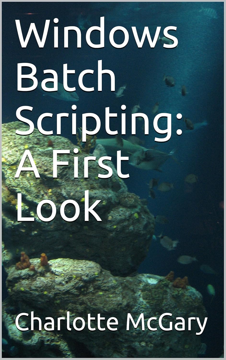 Windows Batch Scripting: A First Look eBook : McGary, Charlotte: Amazon.in: Books