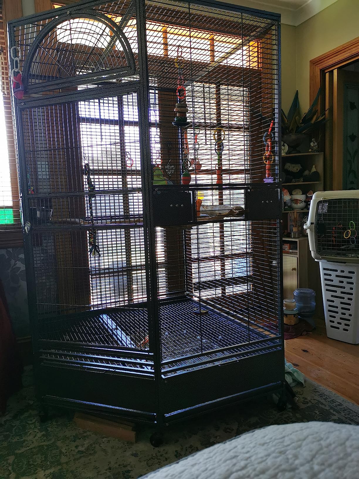 Flyline 10020 XL Parrot Escape Jumbo Corner Bird Aviary Cage, 1.7cm Bar ...