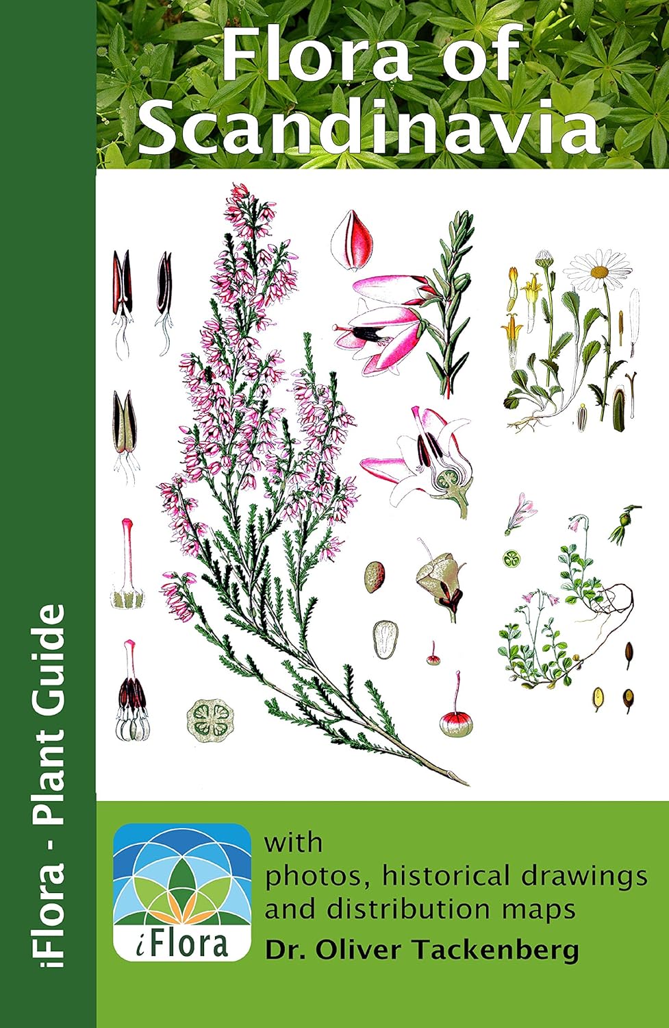 Flora of Scandinavia (iFlora - Plant Guide Book 16) , Tackenberg ...