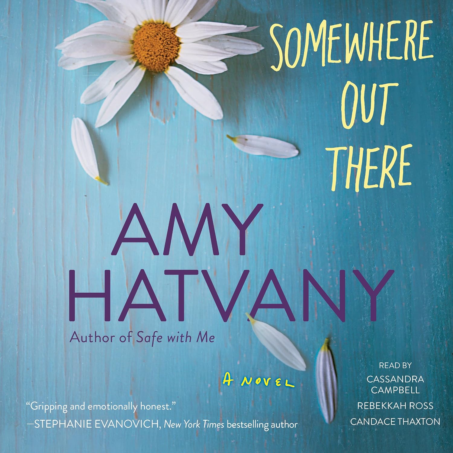 Amazon.com: Somewhere Out There: A Novel (Audible Audio Edition): Amy ...