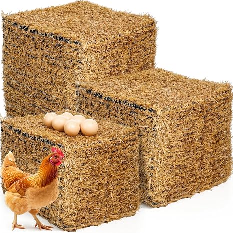 Amazon.com : Maasechs 60 Pcs Chicken Nesting Pads for Chicken Coop 12 ...