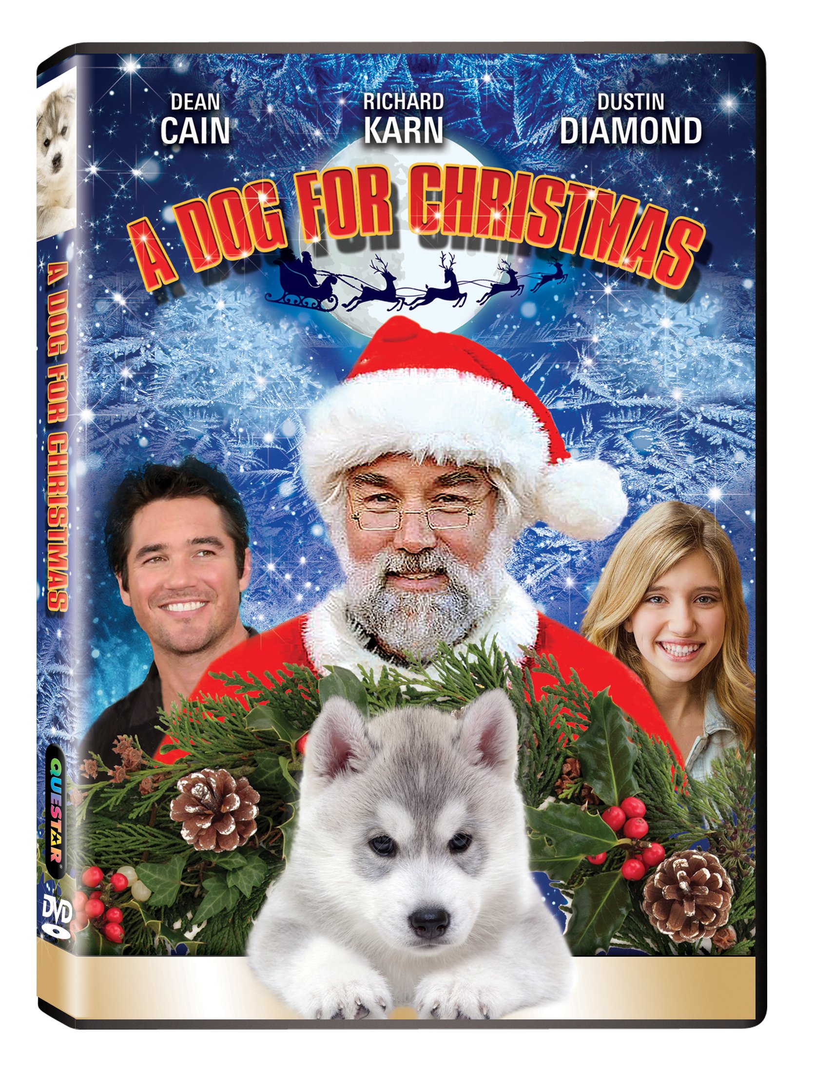 Amazon.com: A Dog for Christmas : Dean Cain, Richard Karn, Dustin ...
