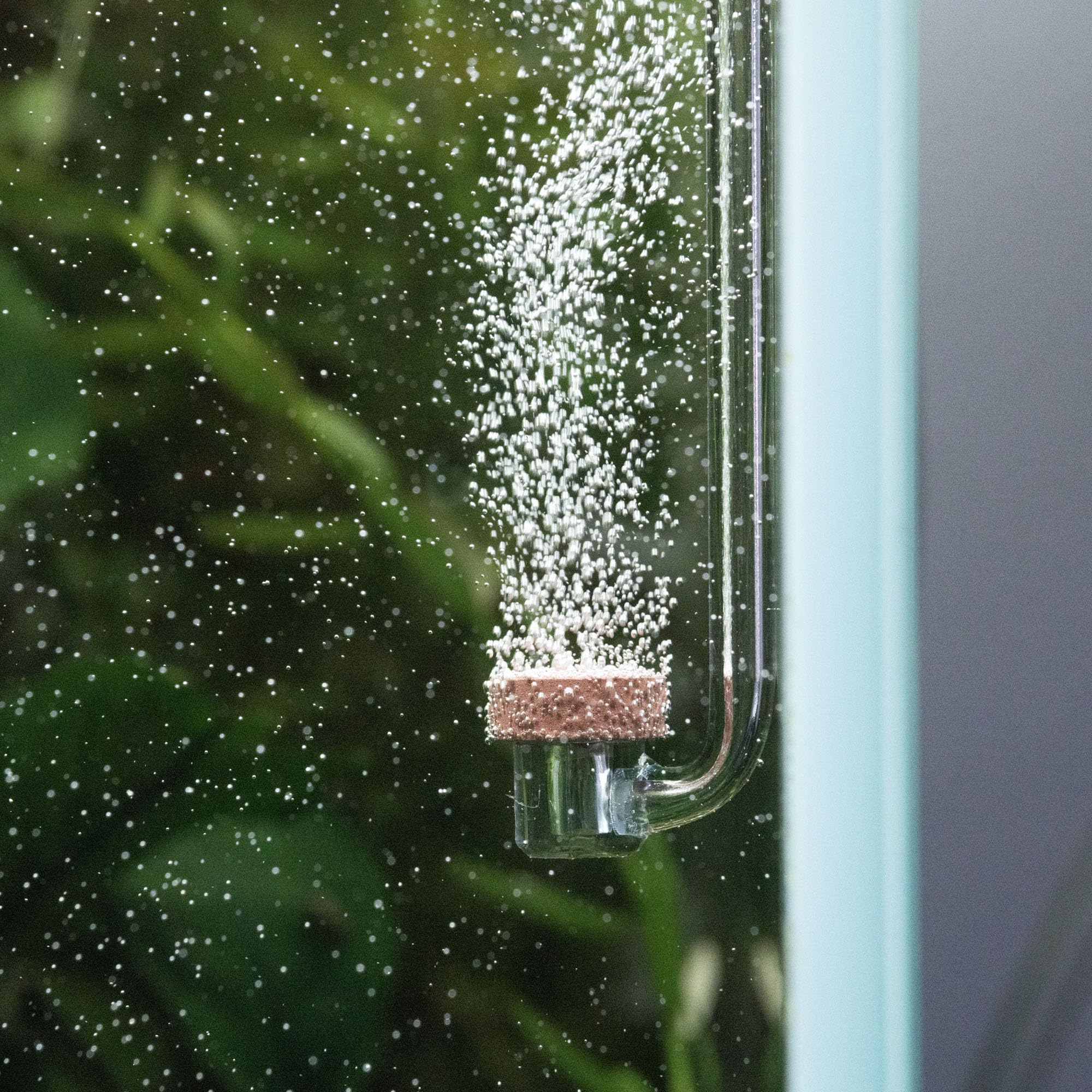 Amazon.com: Aquario Neo CO2 Aquarium Diffuser - CO2 Diffuser Aquarium ...