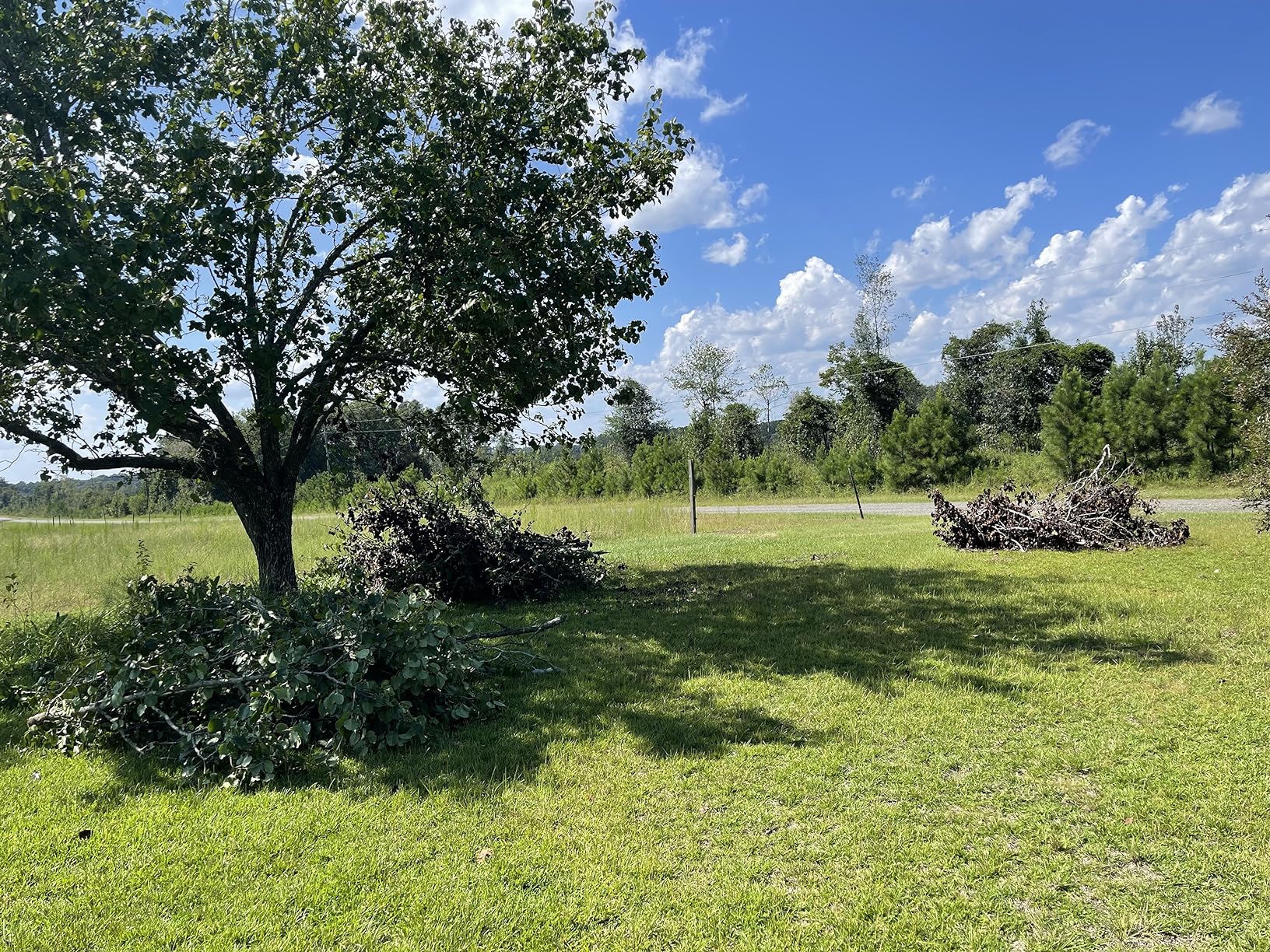 $9/mo - Finance SENDRY Mini Chainsaw 6-Inch, Powerful Cordless ...