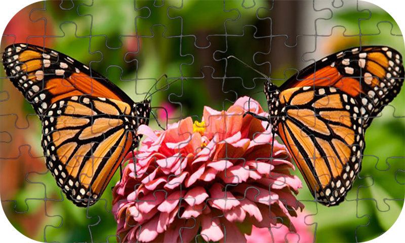 Aplicación Butterfly Puzzle Jigsaw (Rompecabezas de mariposa) en Amazon ...