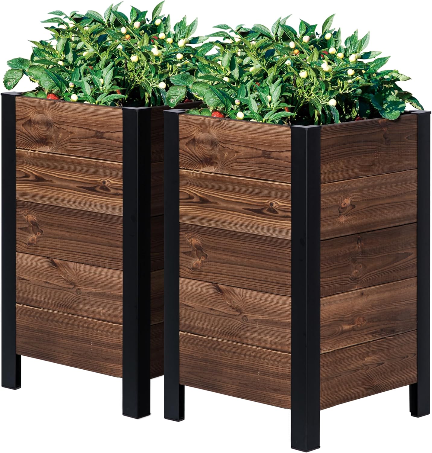 Amazon.com: Phoenix Vine Raised Garden Bed Planter Box (18"x 18"x 30 ...