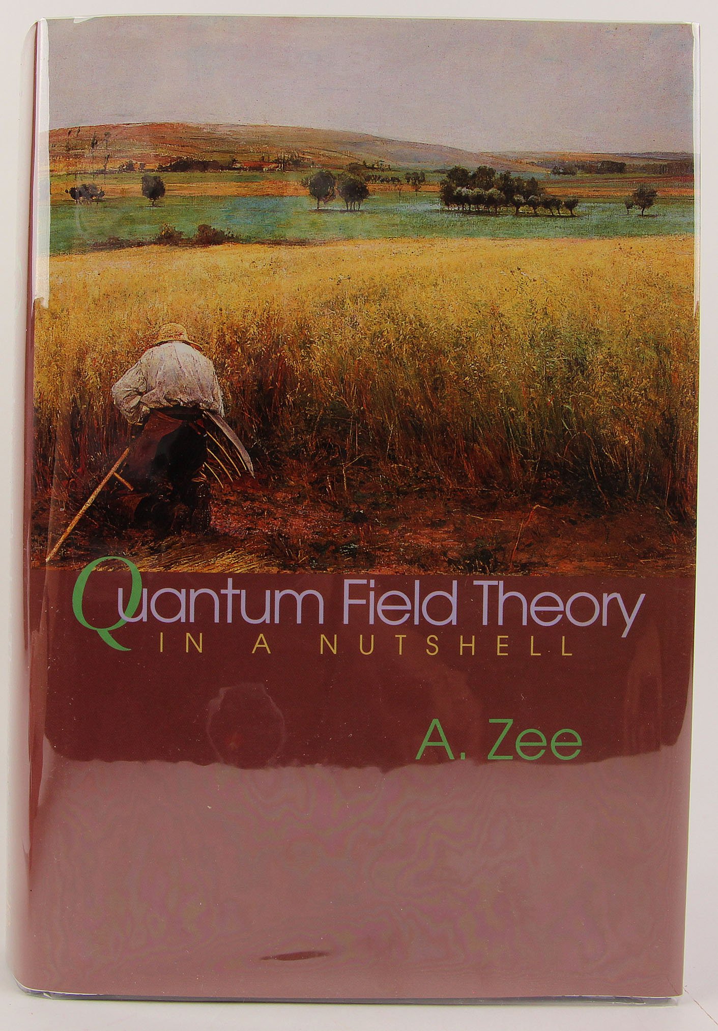 Amazon.com: Quantum Field Theory in a Nutshell: 9780691010199: Zee, A ...