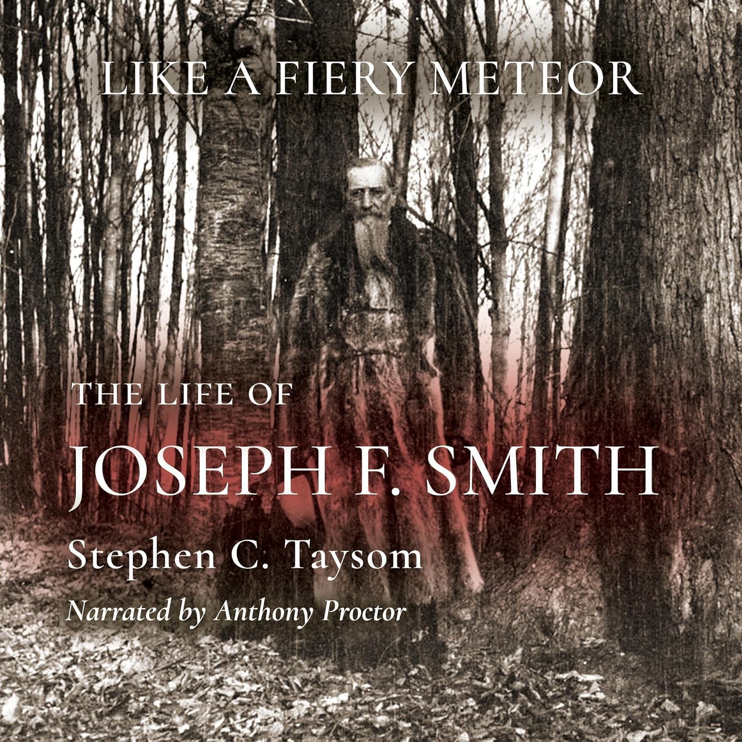 Amazon.com: Like a Fiery Meteor: The Life of Joseph F. Smith (Audible Audio Edition): Stephen C ...