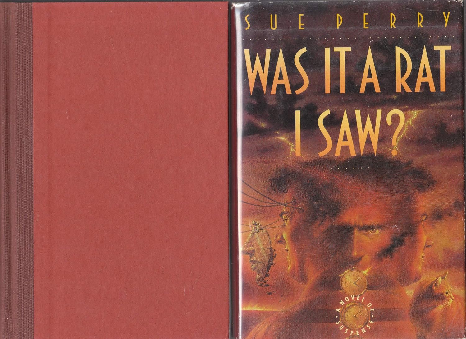 Was It a Rat I Saw: Perry, Sue: 9780385422383: Amazon.com: Books
