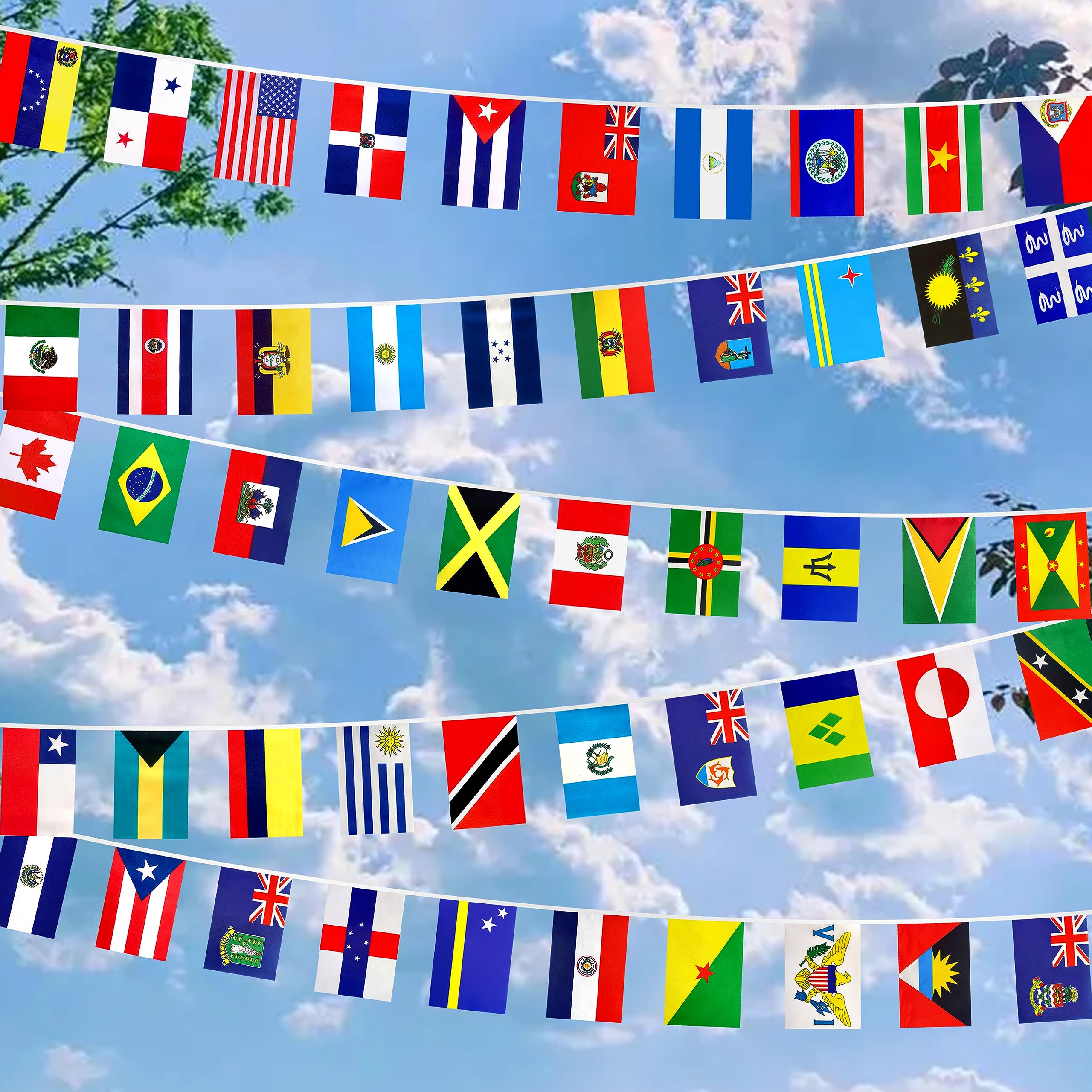 Flags Of Central American Countries Central America And The Caribbean