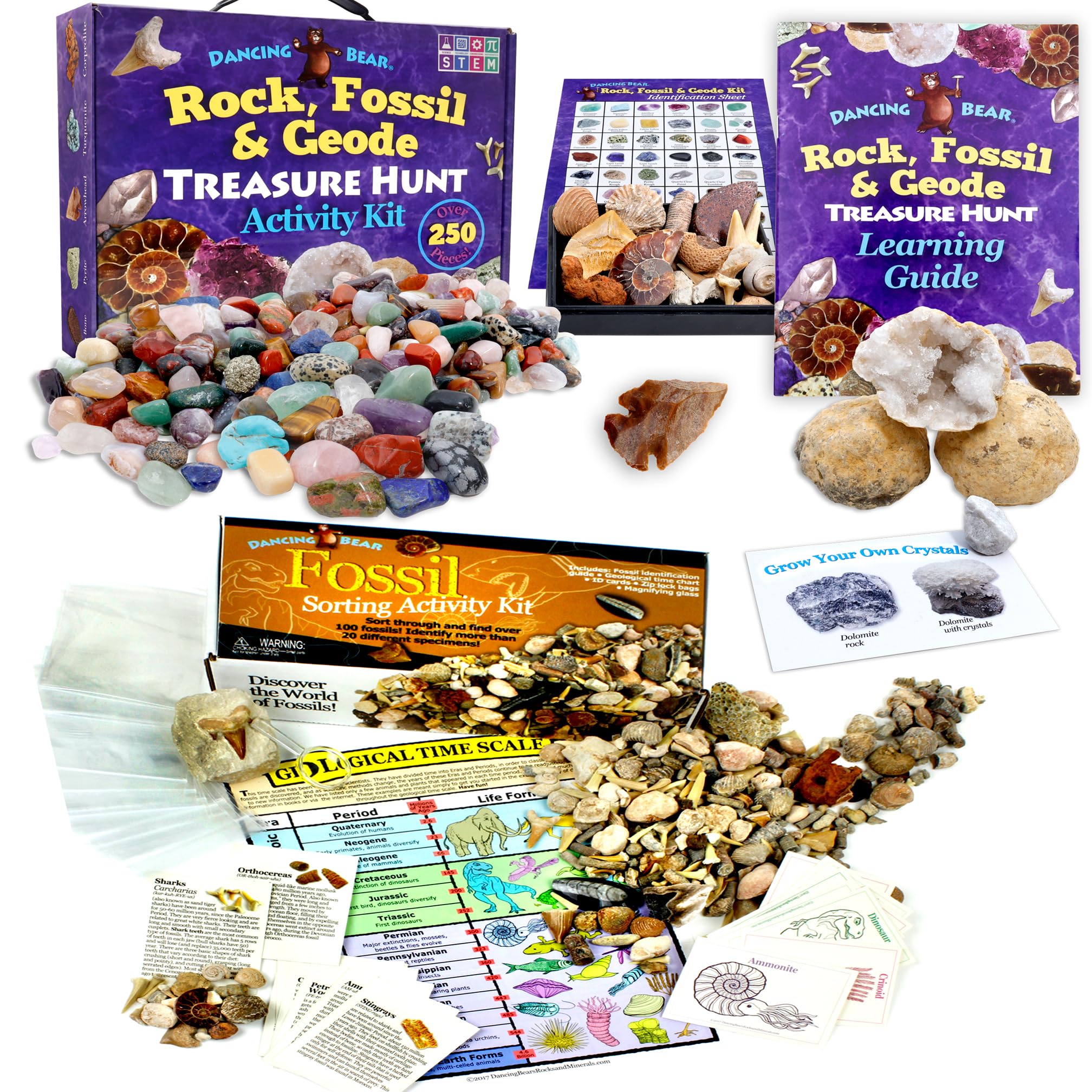 Amazon.com: DANCING BEAR Geology Fossil Bundle – 2 STEM Activity Kits ...