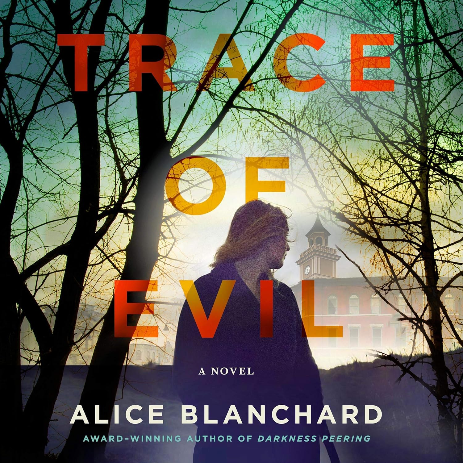Amazon.com: Trace of Evil: A Natalie Lockhart Novel, Book 1 (Audible ...