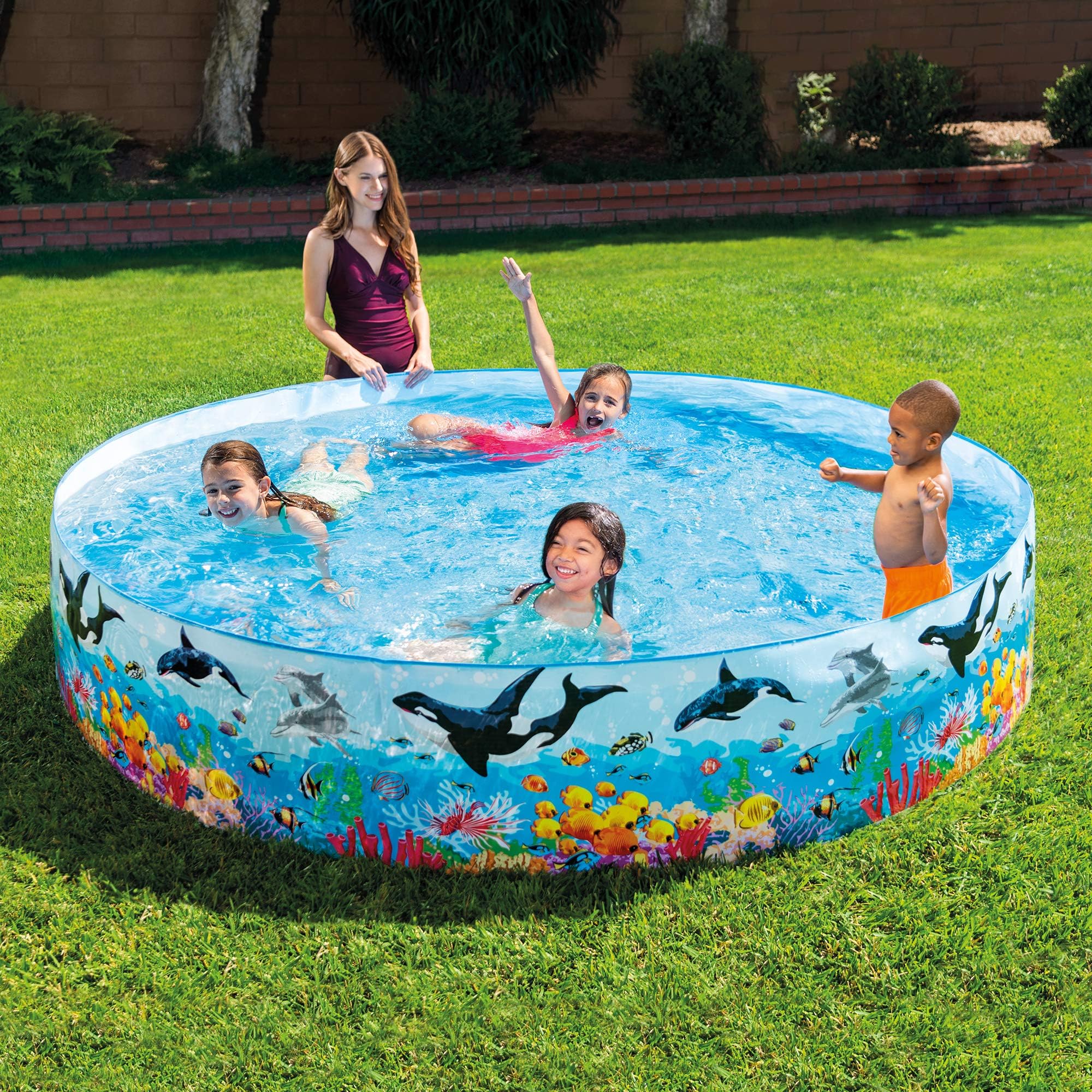 INTEX Inflatable Snapset Pool, Multi Color (6-feet) : Amazon.in: Toys ...