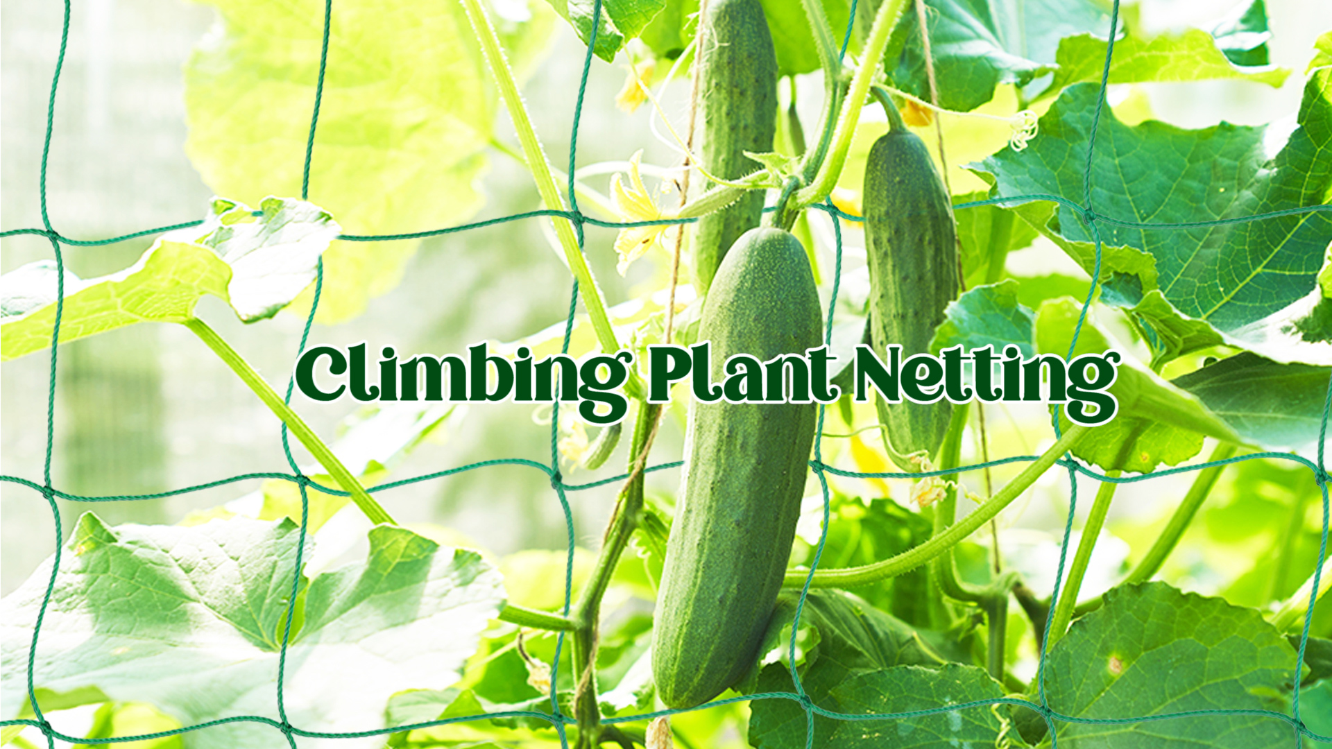 Trellis Netting For Climbing Plants Garden Outdoor, Heavy Duty Plant ...