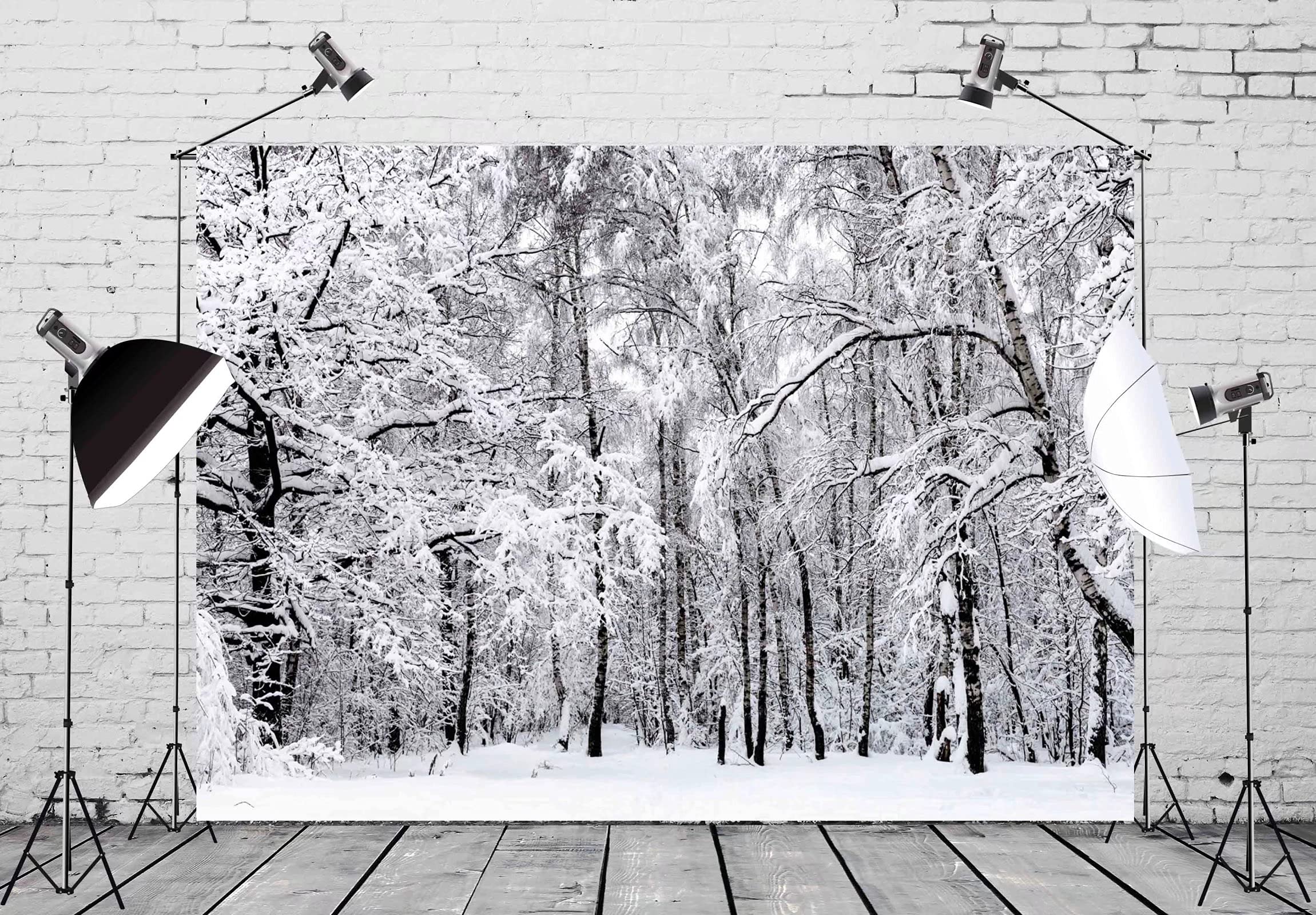 Professional Photography Black And White Winter Themed 20 Top Tips On