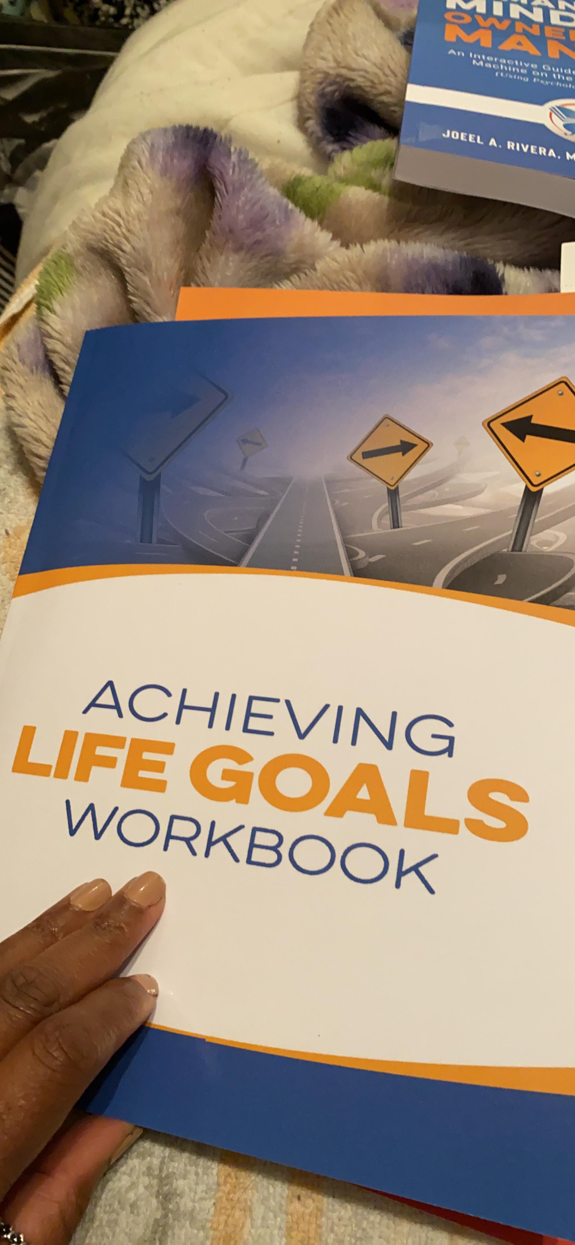Achieving Life Goals Workbook: Amazon.co.uk: Rivera M.Ed., Joeel A ...