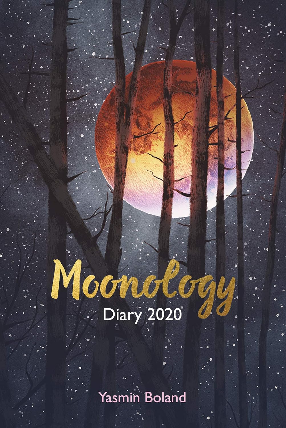Moonology Diary 2020: Boland, Yasmin: 9781788173377: Amazon.com: Books