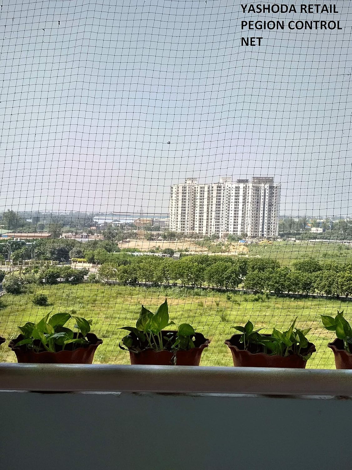 PIGEON CONTROL Anti Bird Net (8 feet x 12 feet),White : Amazon.in ...