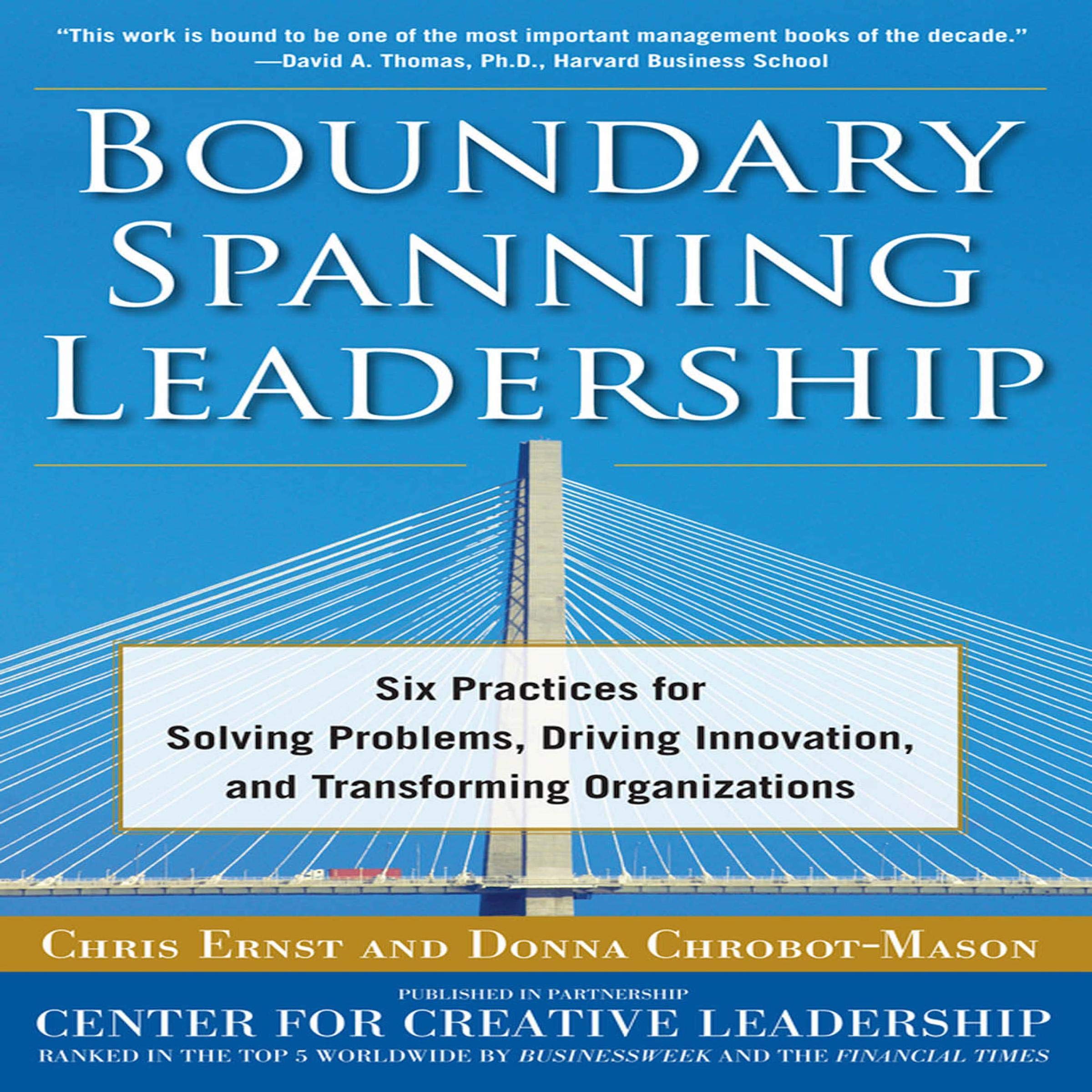 Boundary Spanning Leadership Six Practices For Solving Problems Driving ...