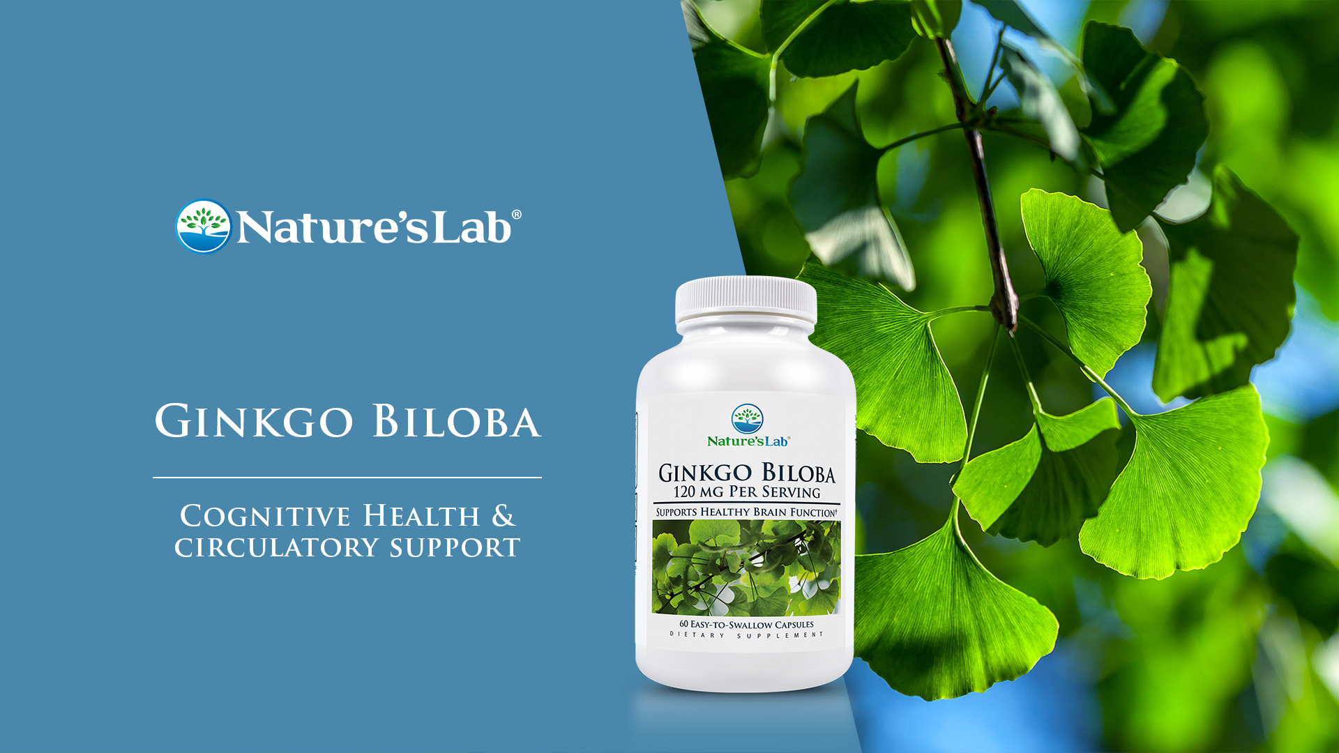 Watch Ginkgo Biloba - Supports Health Brain Function and Memory* on ...