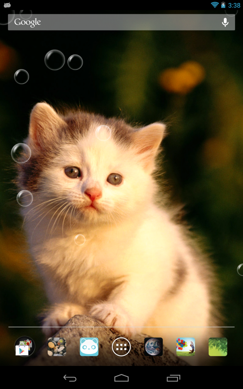Cute Cat Live Wallpaper - App on Amazon Appstore