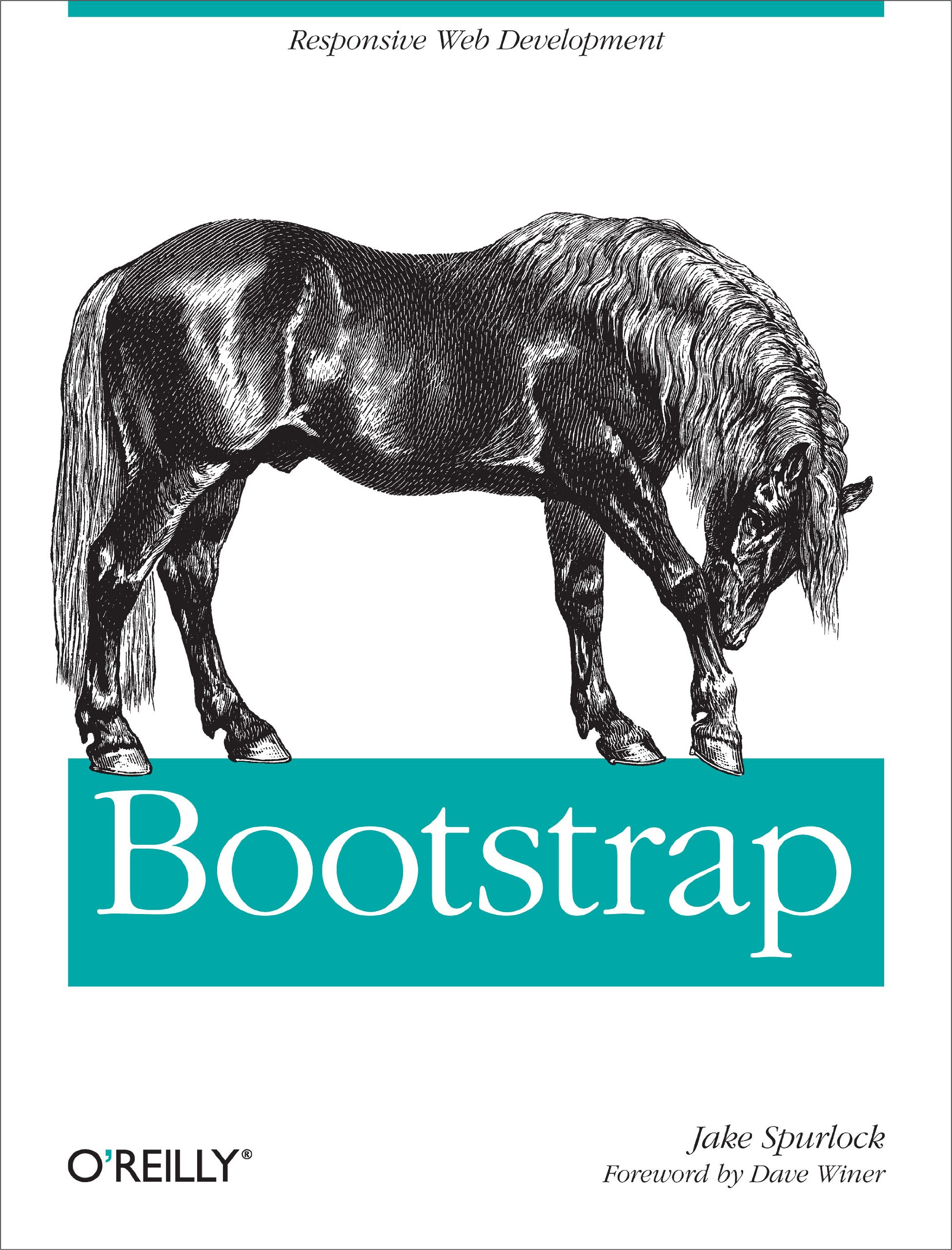 Bootstrap Responsive Web Development Spurlock Jake Winer Dave 9781449343910 Books