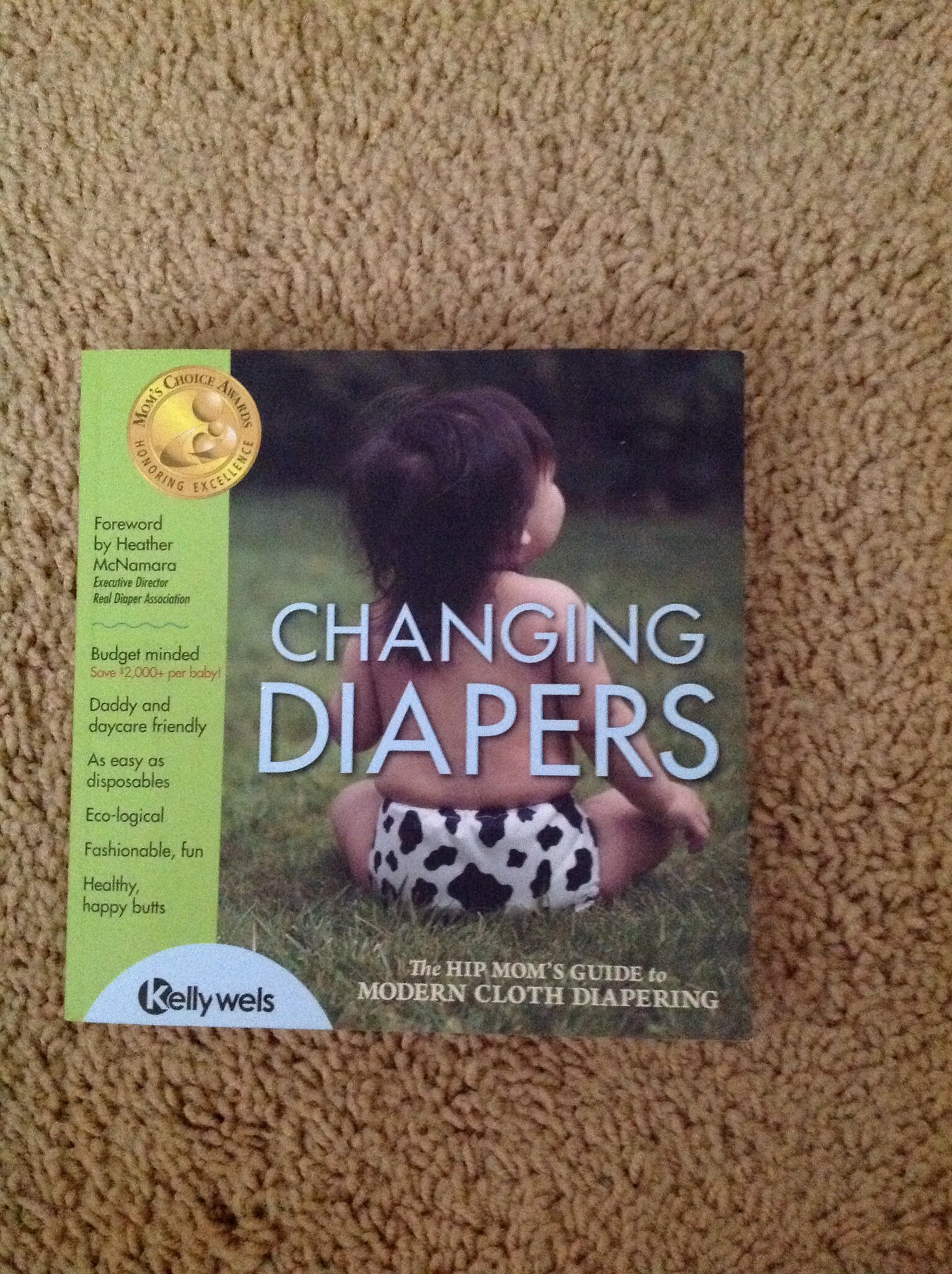 Changing Diapers: The Hip Mom's Guide to Modern Cloth Diapering: Kelly ...
