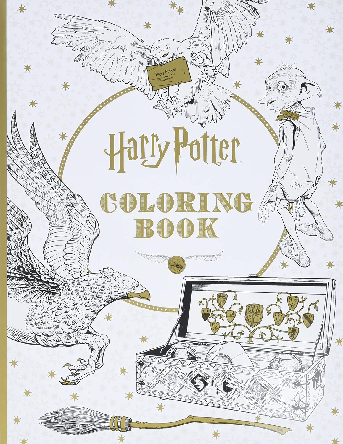 Harry Potter Coloring Book: Scholastic: 9781338029994: Amazon.com: Books
