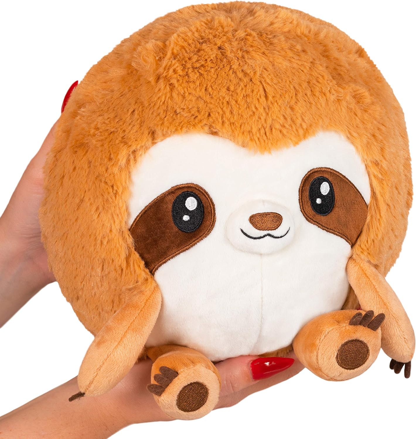 Amazon.com: Squishable / Mini Snuggly Sloth 7" Plush : Toys & Games