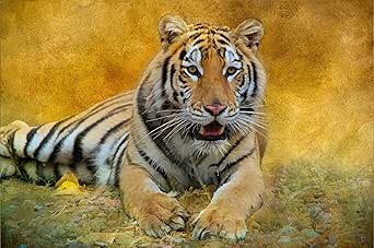 Amazon.com: Siberian Tiger Fabric Panel - AWC-010 - Panel Size is 22.75 ...