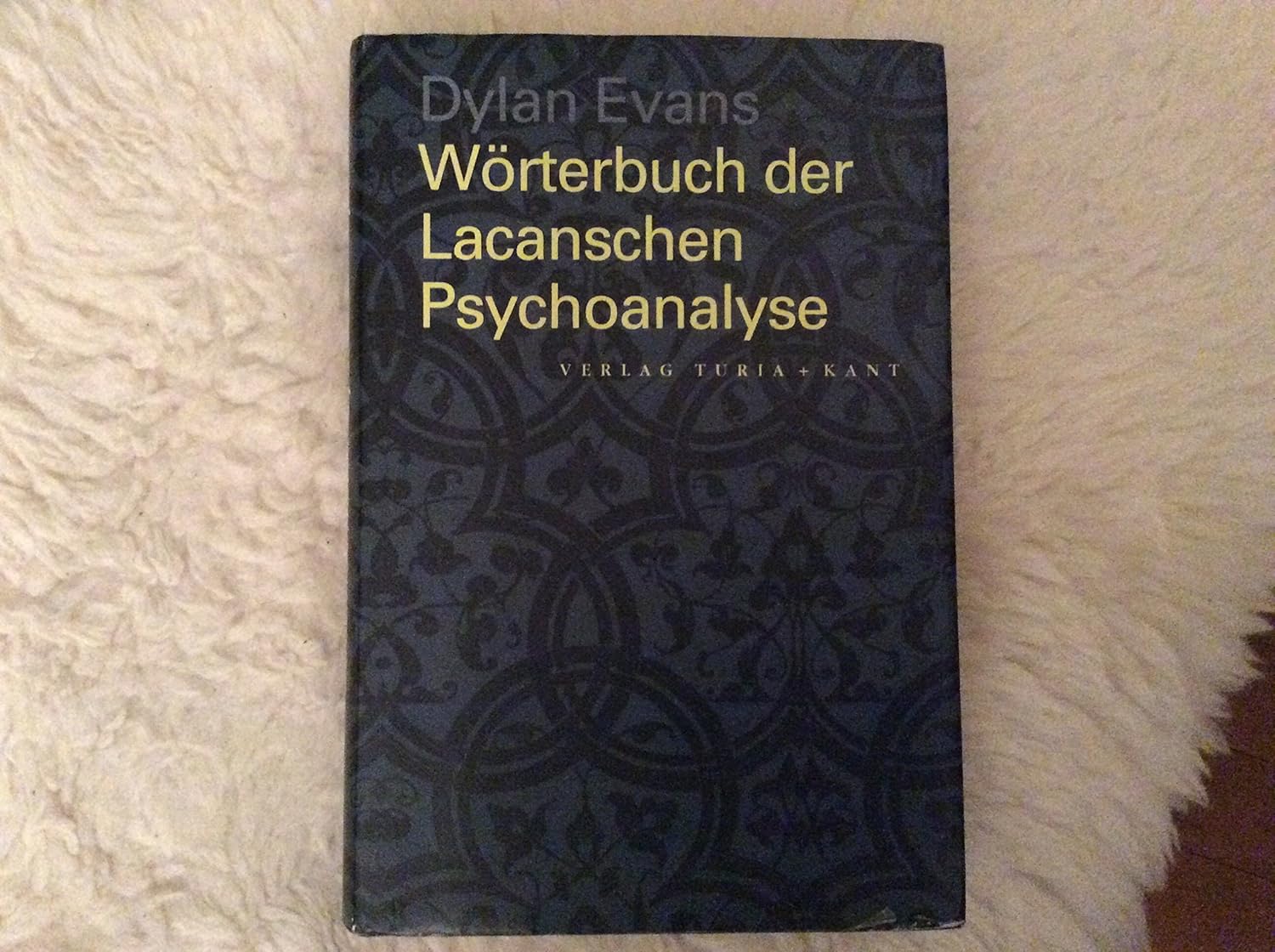 Einführendes Wörterbuch zur Lacanschen Psychoanalyse: Über 200 ...