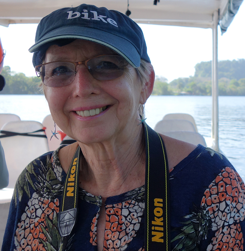 Amazon.com: Anne Ake: books, biography, latest update