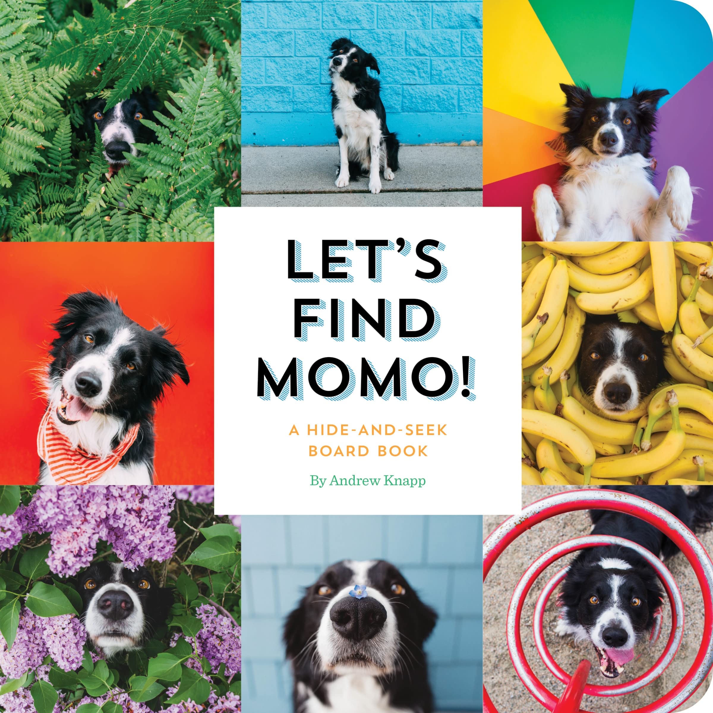 Let's Find Momo!: A Hide-and-Seek Board Book: Knapp, Andrew ...