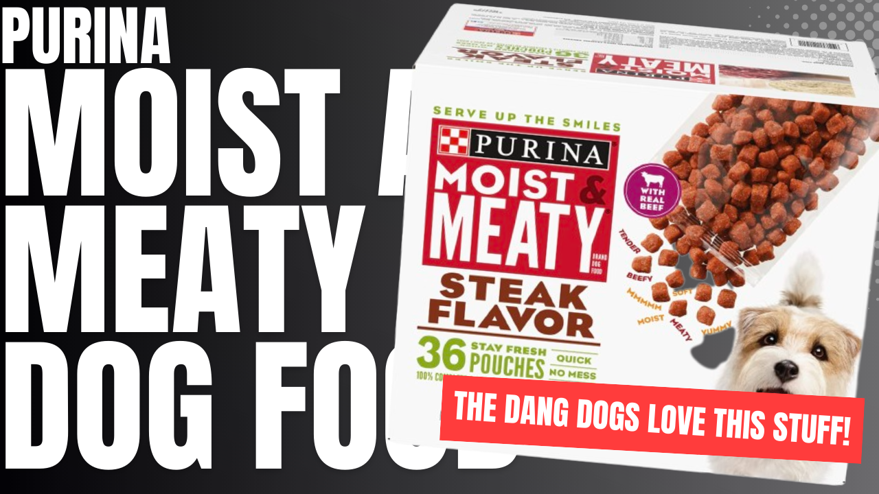 Watch The dang dogs love this stuf! But check the portion size! on ...