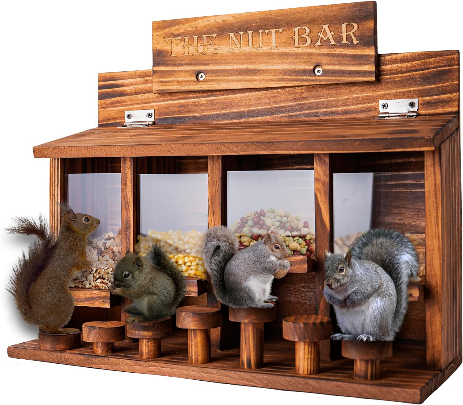 Amazon.com : CODIN Squirrel Feeder Table, Wooden Squirrel Picnic Table ...