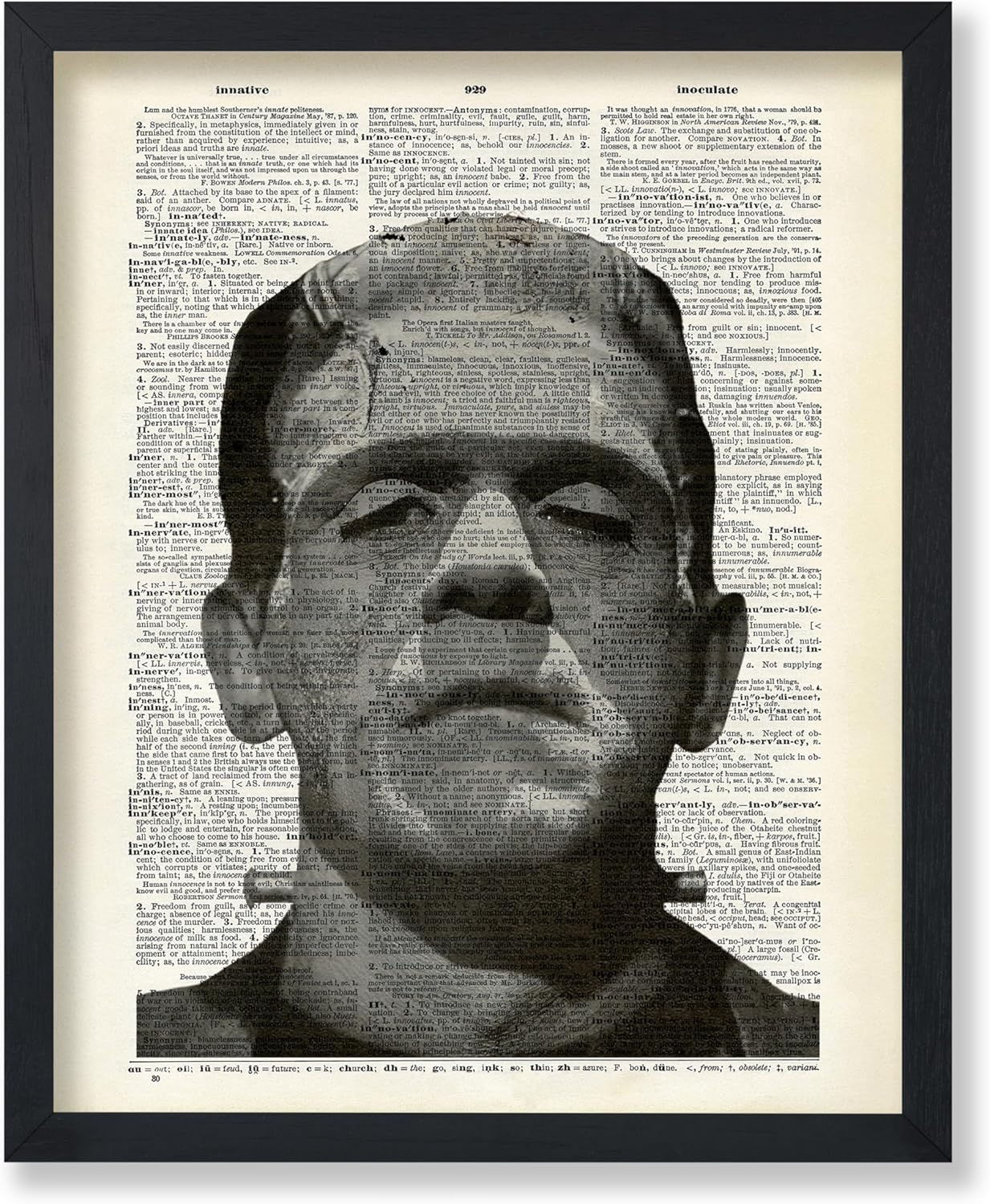 Amazon.com: Poster Master Dictionary Art Poster - Retro Frankenstein ...