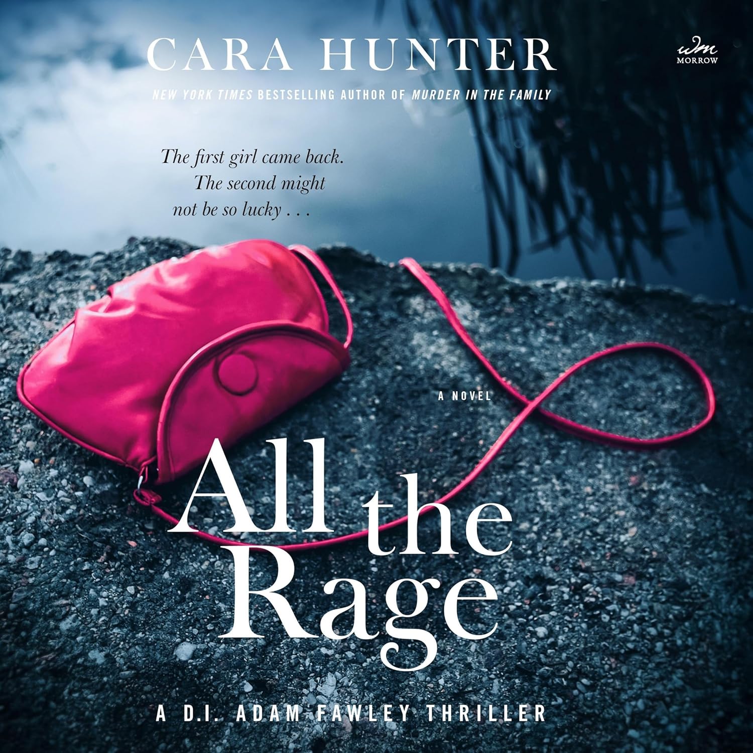 Amazon.com: All the Rage: A Novel (Di Fawley): 9798212898577: Cara Hunter: Books