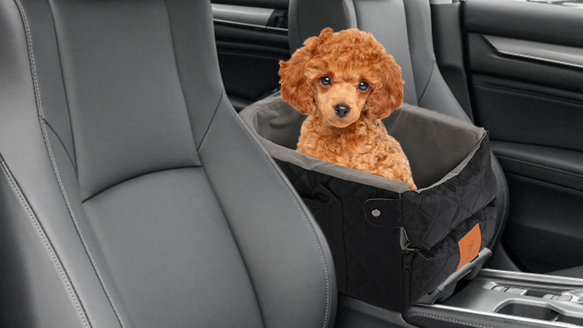 Watch Installation Video Details of Car Dog Seats on Amazon Live