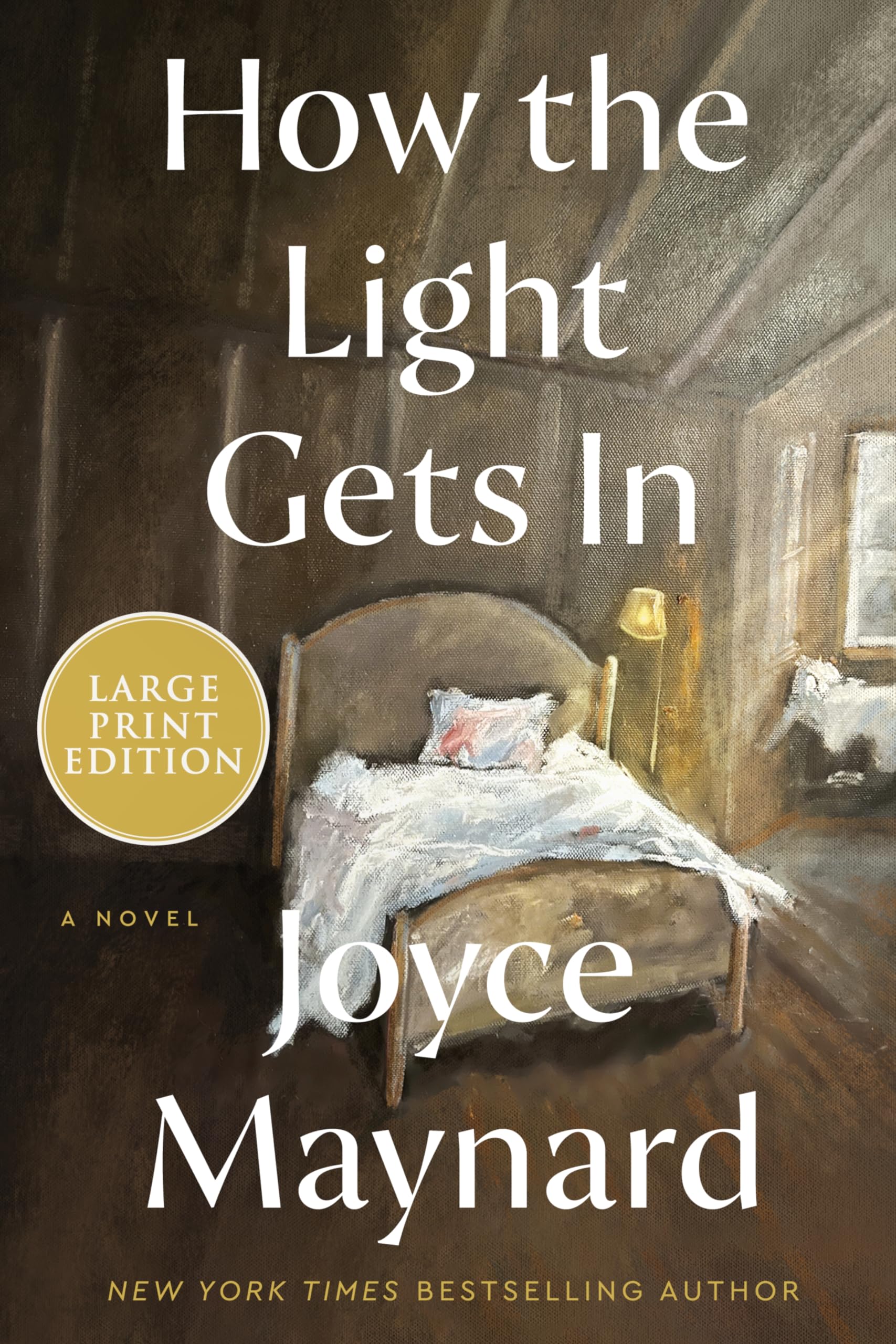 How the Light Gets In: A Novel: Maynard, Joyce: 9780063386594: Amazon.com: Books