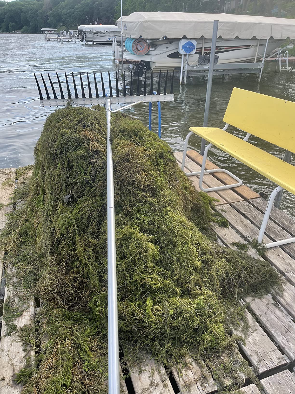 Amazon.com : Rake Zilla | Extra Large Heavy Duty Aquatic Weed Rake with ...