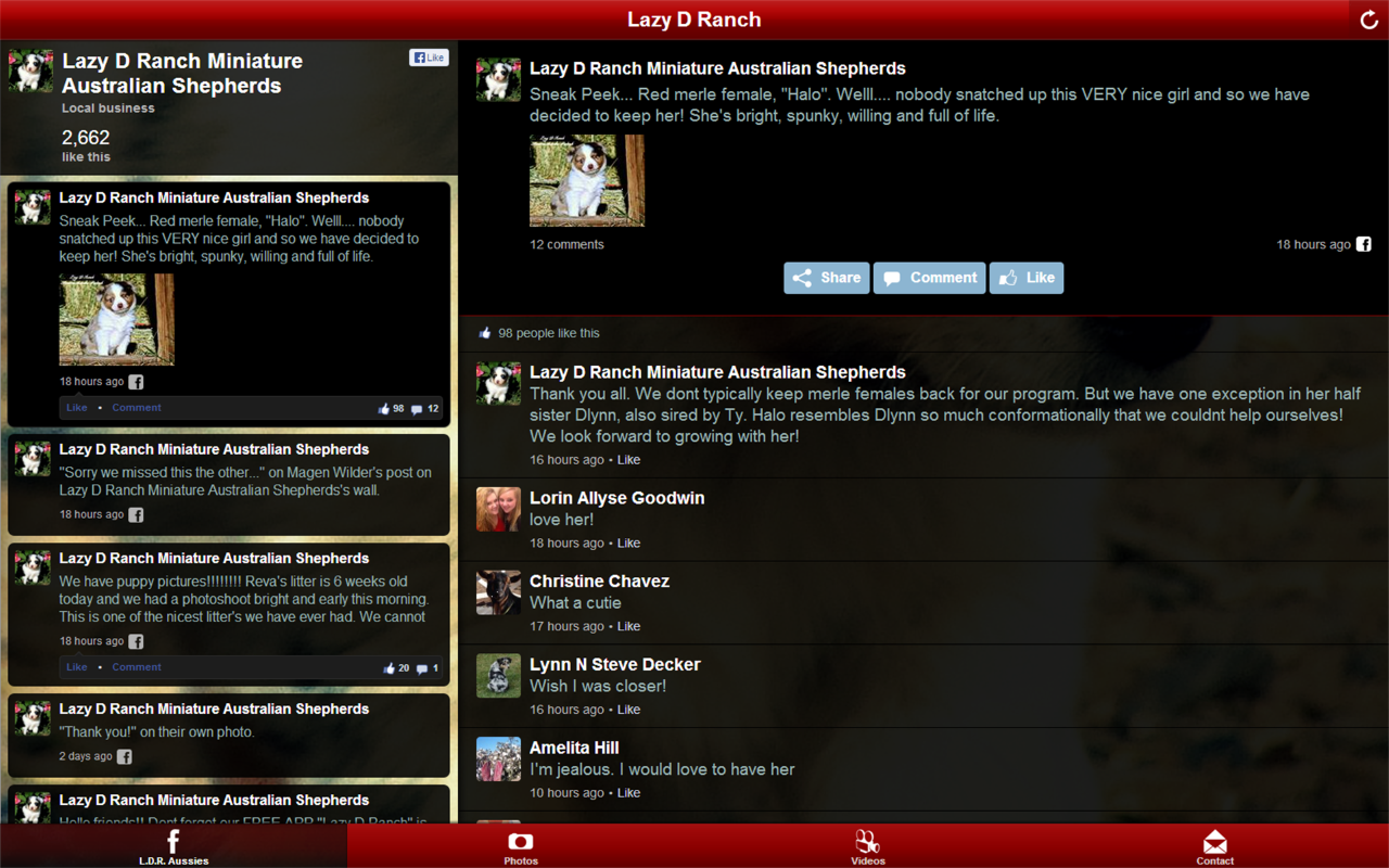 Lazy D Ranch Aussies - App on Amazon Appstore