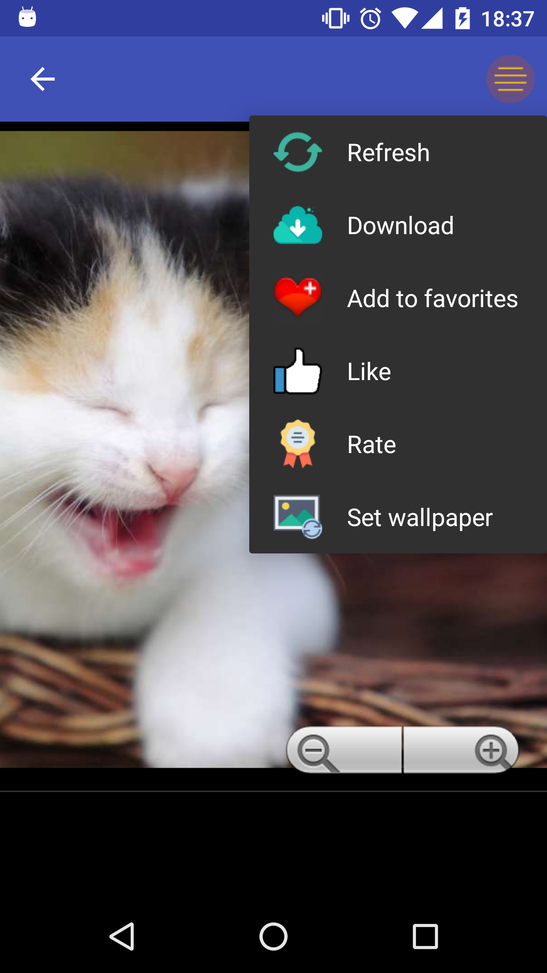 Cats Wallpapers - App on Amazon Appstore