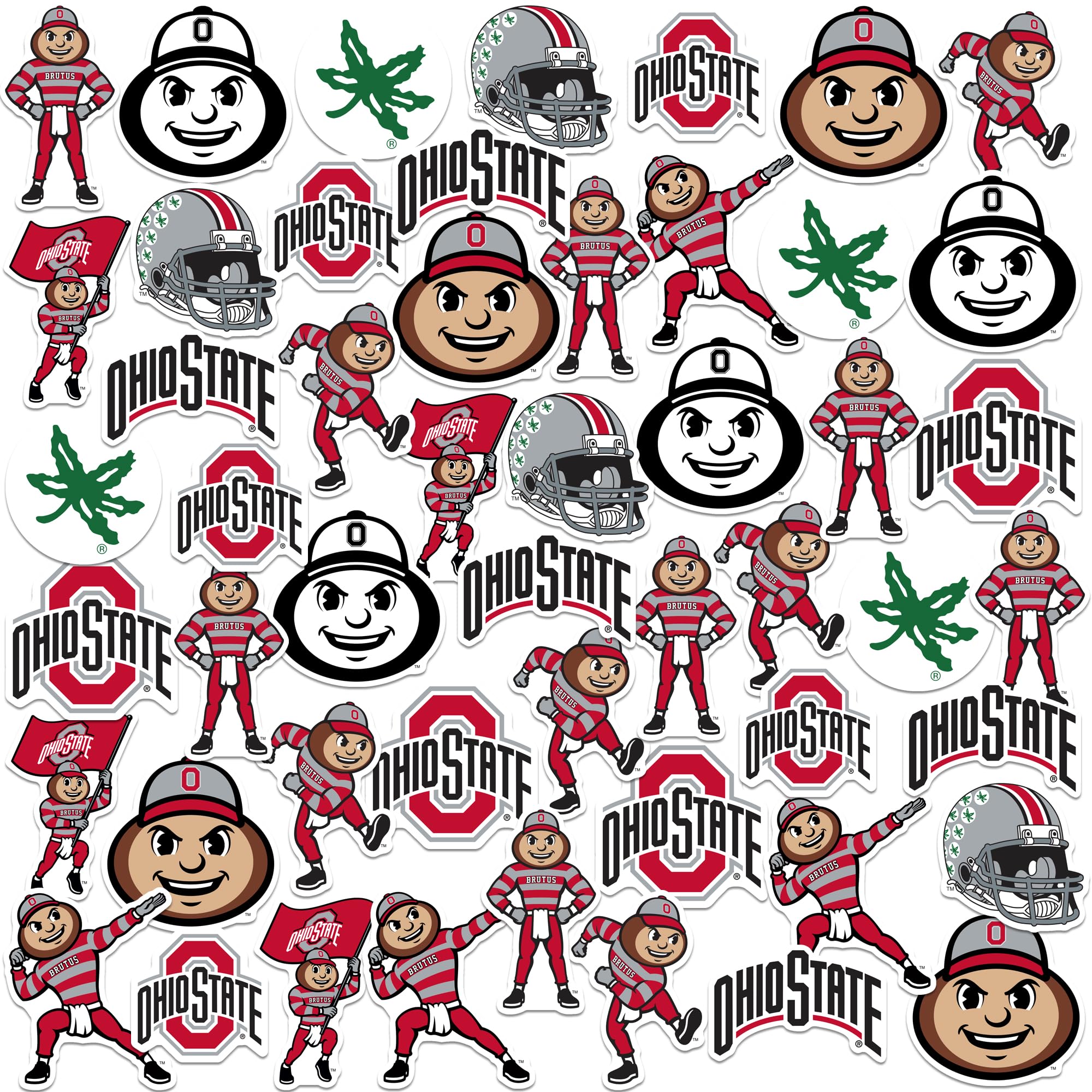 Amazon.com: The Ohio State University 50CT Vinyl Large Deluxe Stickers ...